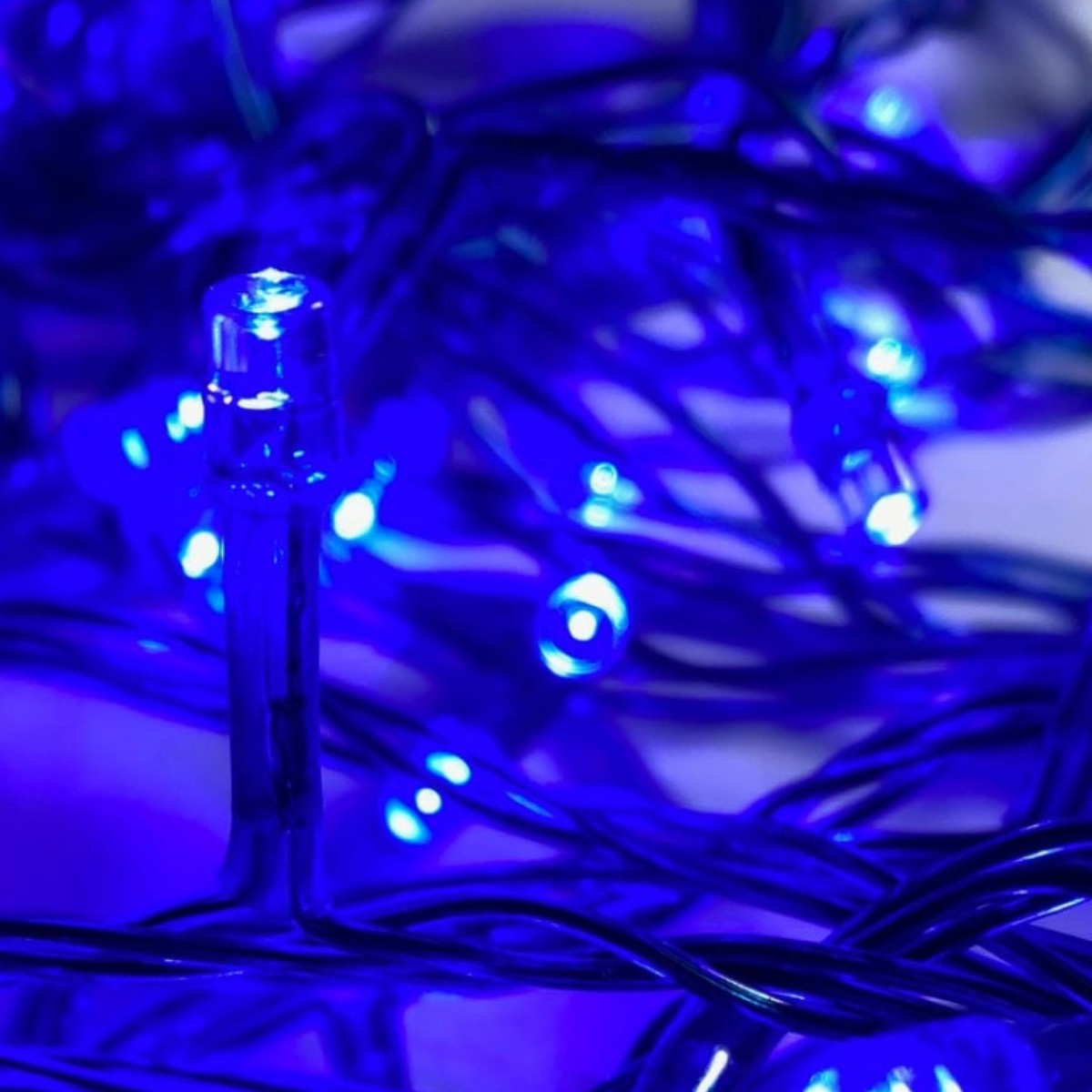 Serie 50 Luces Azul - Grupo Electro Industrial Renovable